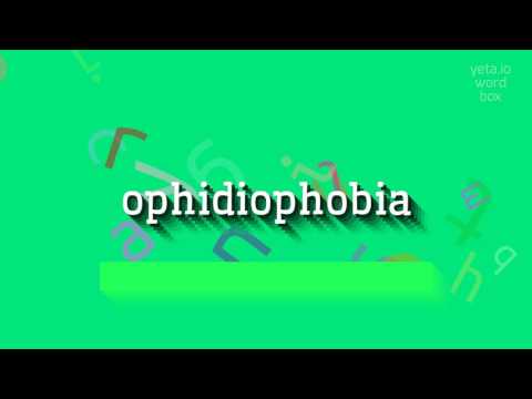 How to say "ophidiophobia"! (High Quality Voices)