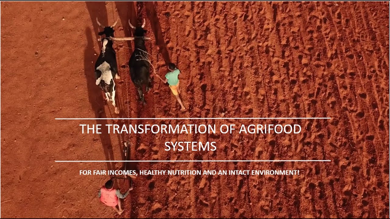 Transformation of agrifood systems - for fair incomes, healthy nutrition, and an intact environment!