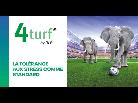 4turf® - Le gazon français praticable toute l'année - 4 x plus fort