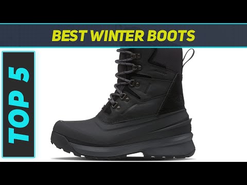 Top 5 Best Winter Boots in 2024