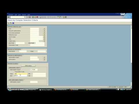 How to conduct auditing in SAP System for sensitive transactions