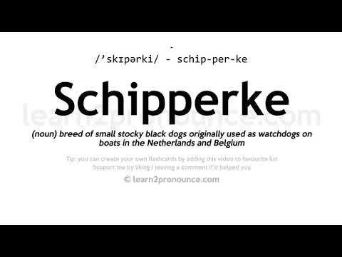 Schipperke pronunciation and definition