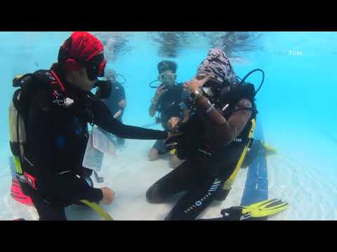 PADI Divemaster DSD Leader Internship (In water teaching evaluation)
