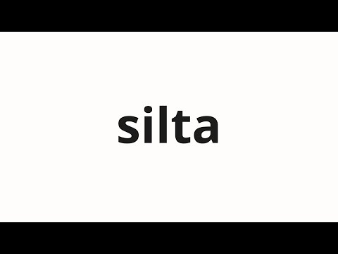 How to pronounce silta | 싫다 (Hate in Korean)