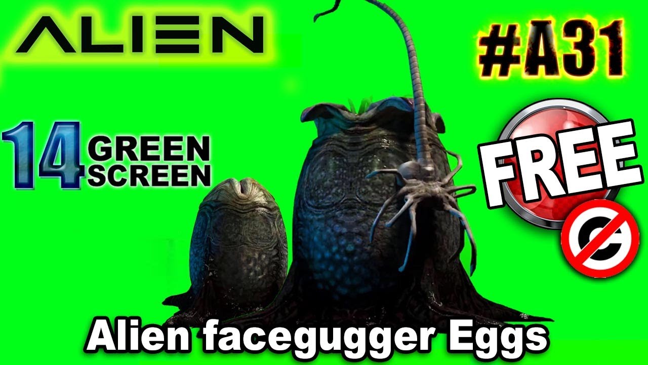 Alien Facehugger Eggs Green Screen 3D