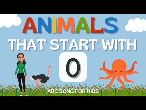 Animals That Begin with O | Fun Kids Song Featuring Octopus & Ostrich!