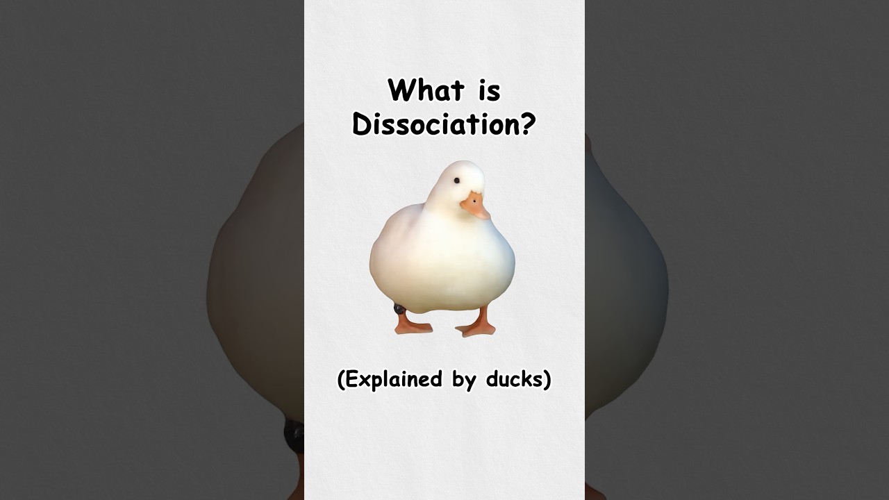 What is dissociation? (explained by ducks)