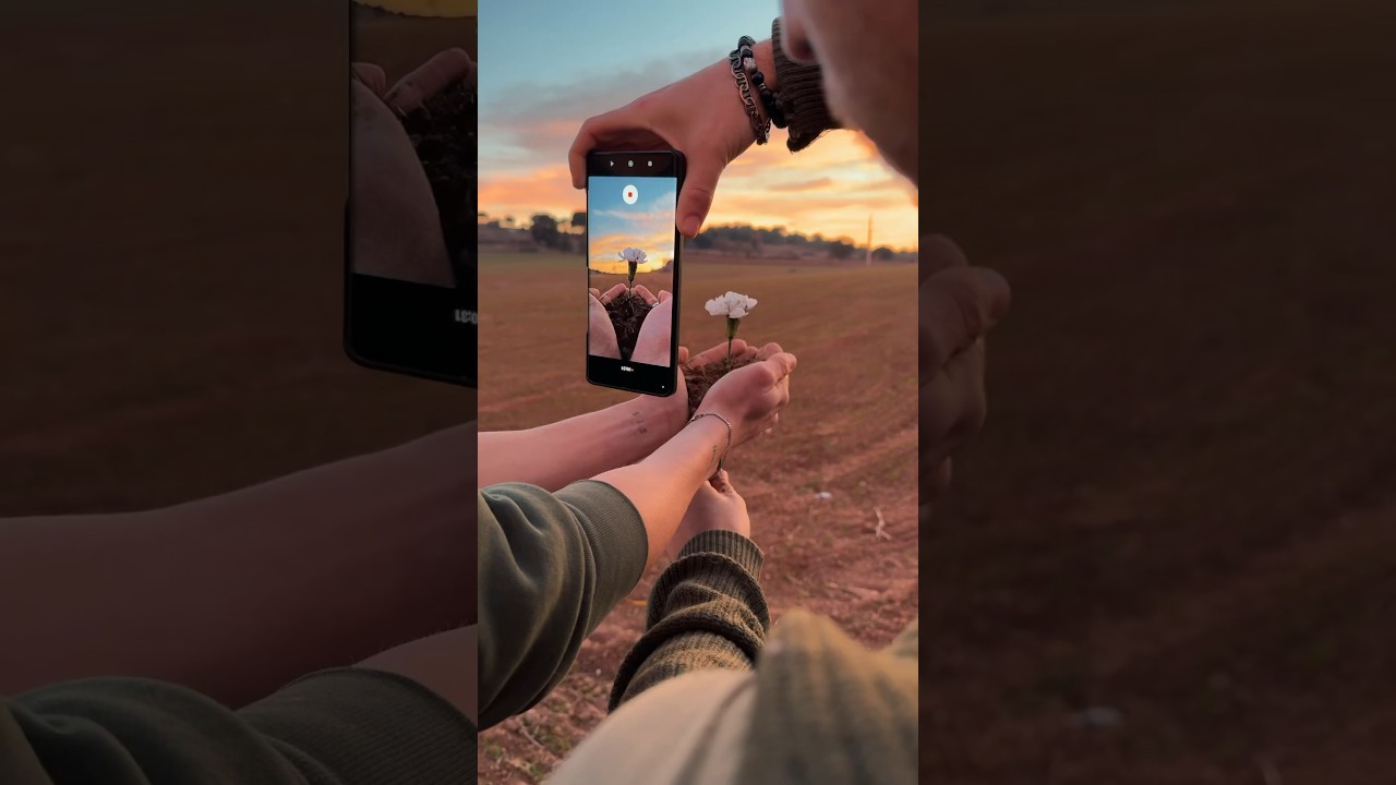 Flower Reverse Effect 📱🔄 with @xiaomi #xiaomi13ultra #flowers #sunset #photoshoot