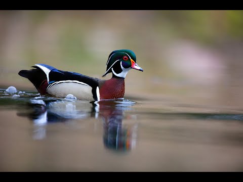 2022 Photo Contest