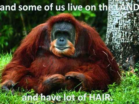 The vertebrates song. | marialiste