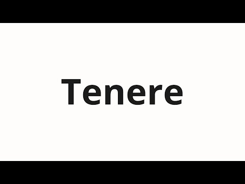 How to pronounce Tenere