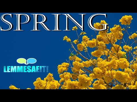Learn How To Pronounce Spring