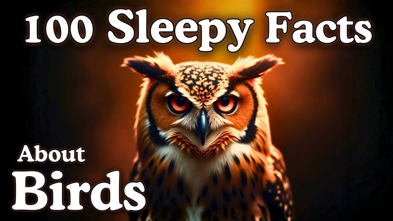 The Most Relaxing Facts About Birds to Fall Asleep To - Dreamy Science