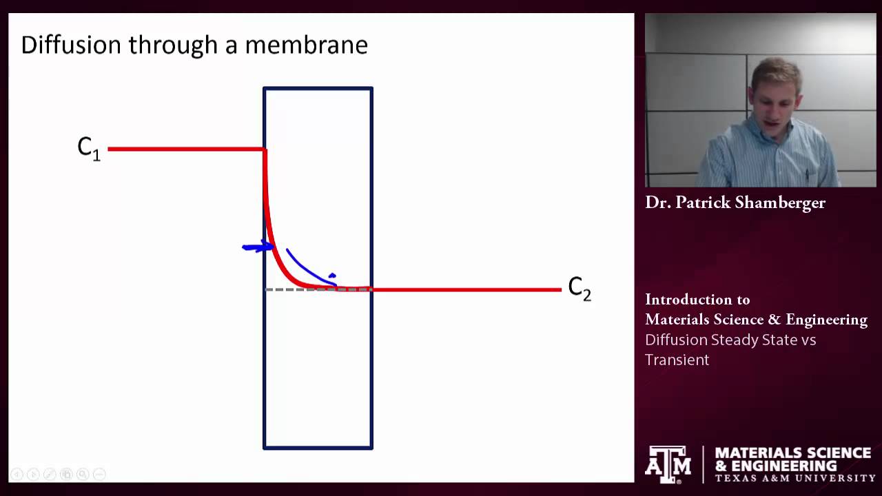 Understanding Steady State and Transient Diffusion: Key Concepts Explained | Galaxy.ai