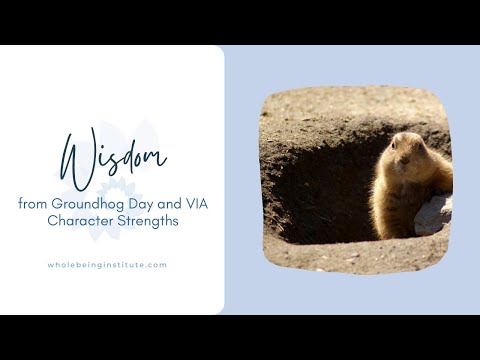 Wisdom from Groundhog Day and VIA Character Strengths with Jane S Anderson
