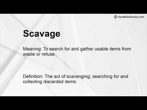 Scavage Meaning