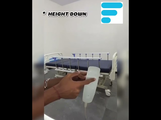 Electric Bed - Feeno Three Function Electric Hospital Bed Manufacturer from Hyderabad