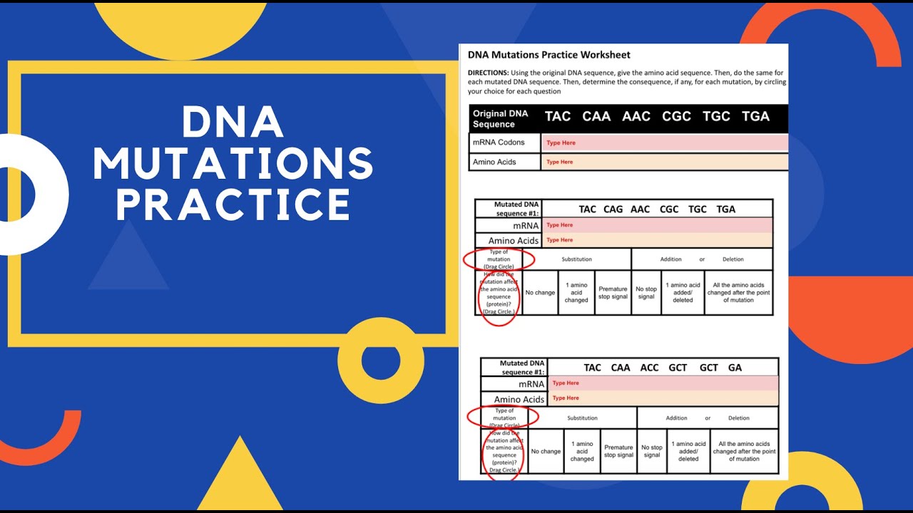 DNA Mutations Practice
