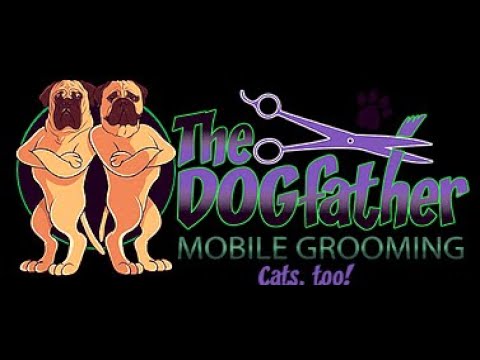 Why The Dogfather Grooming Service is Different