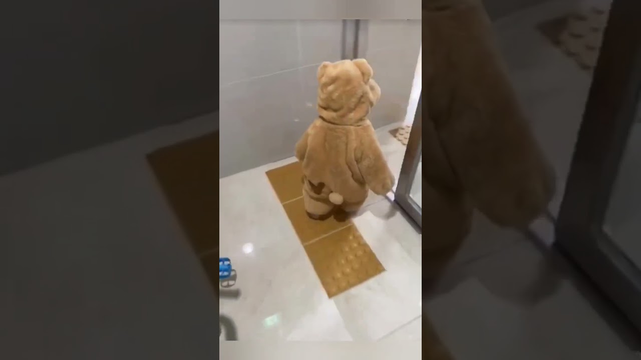 Baby walking with bear costume