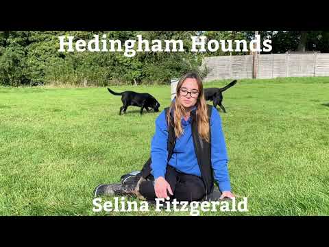 Local Business Interview - Hedingham Hounds