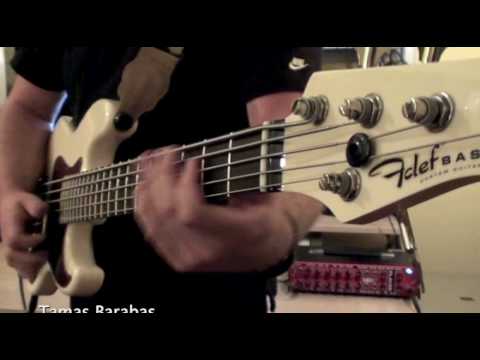 Walter Woods Electracoustic | 2-channel MI 200-8 "Blue Light" | Reverb