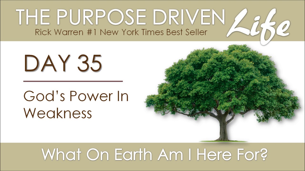 Purpose Driven Life | Day 35