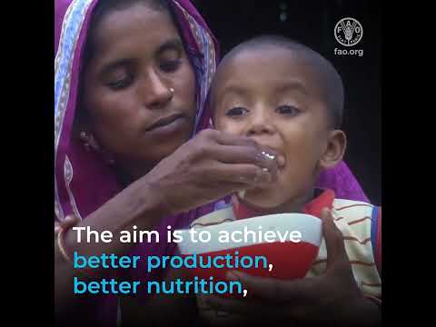 FAO Four Betters: Pathway to agrifood systems transformation (sq)