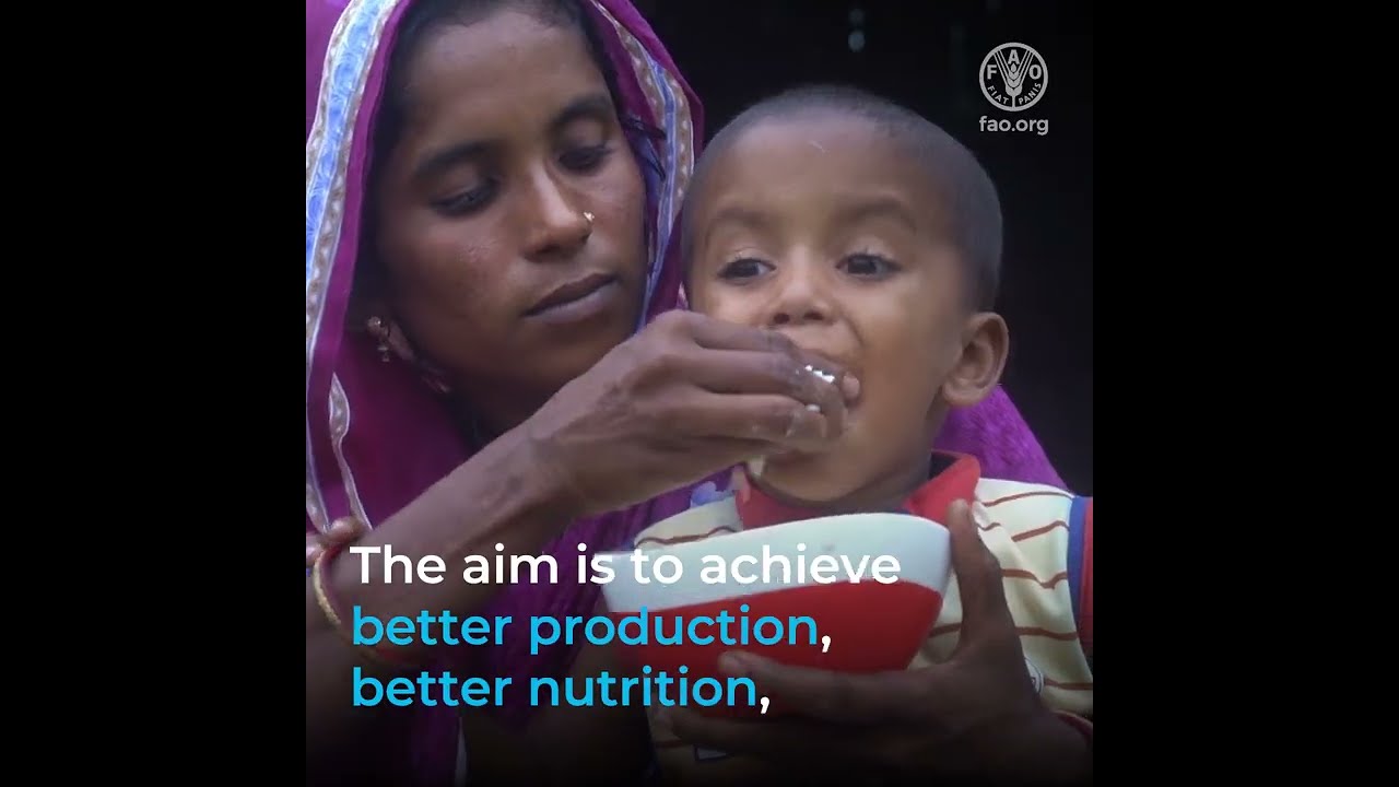 FAO Four Betters: Pathway to agrifood systems transformation  (sq)