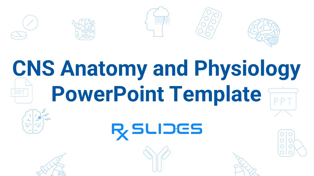 CNS Anatomy and Physiology PPT Template