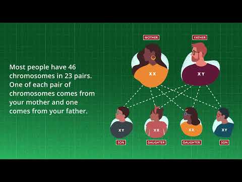 Body Blueprint: Understanding Genes and Chromosomes | Merck Manual Consumer Version