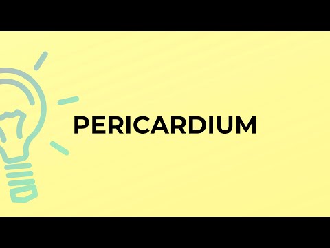 What is the meaning of the word PERICARDIUM?