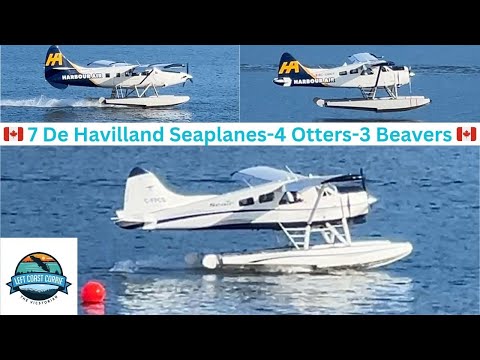 Vintage & Vital: 7 De Havilland Seaplanes in Vancouver, BC, Canada