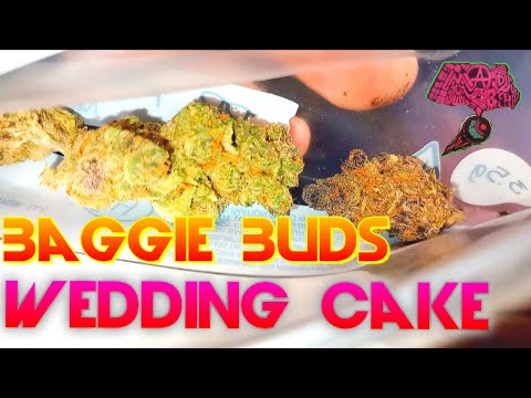 Baggie Buds Wedding Cake 8th Flower Cookies California Dispensary Strain Review π₯ππΎπ°