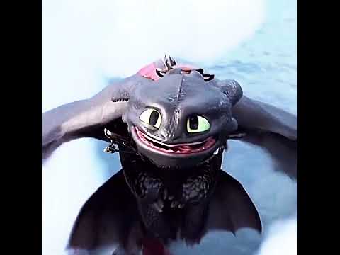 happy birthday to my sister ๐ #httyd #toothless #httyd3 #shorts @tnff.editss