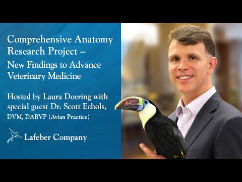 Comprehensive Anatomy Research Project – New Findings to Advance Veterinary Medicine