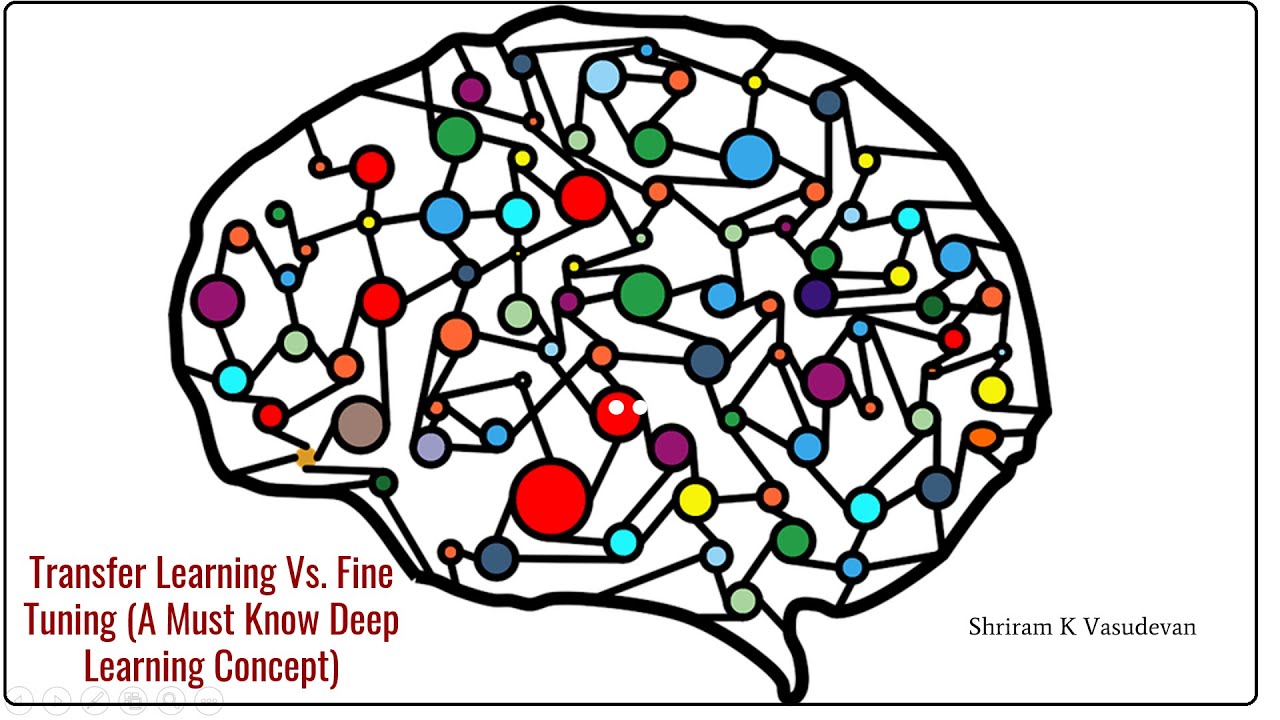 Fine Tuning vs  Transfer Learning