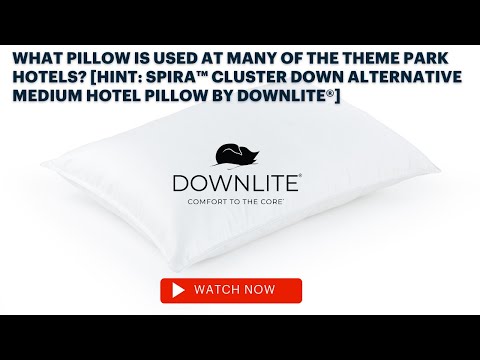 What pillow is used by many theme park hotels? [Hint: Spira™ Down Alt Hotel Pillow by DOWNLITE®]