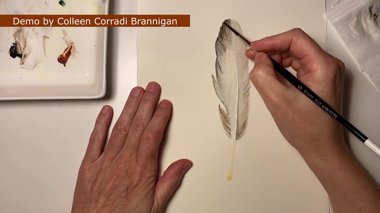 How to paint a realistic feather using watercolors - watercolour paints