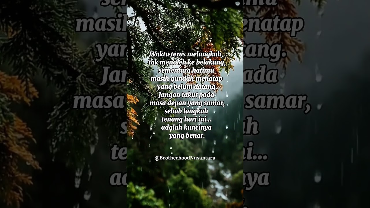 motivasi, kata-kata motivasi, kata-kata bijak, kata-kata mutiara, kata-kata kehidupan, #quotes