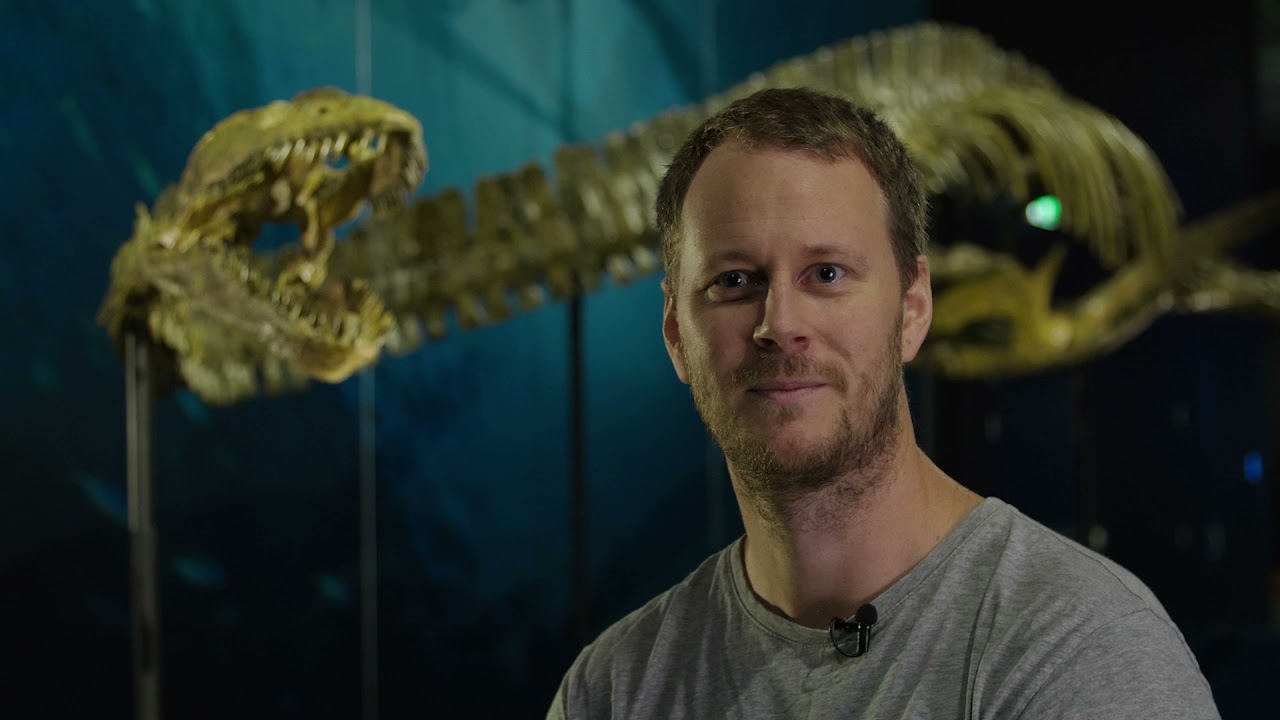 Cool Jobs: Palaeontology