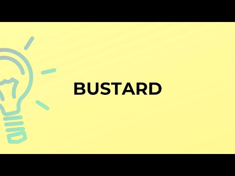What is the meaning of the word BUSTARD?