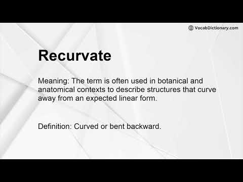 Recurvate Meaning