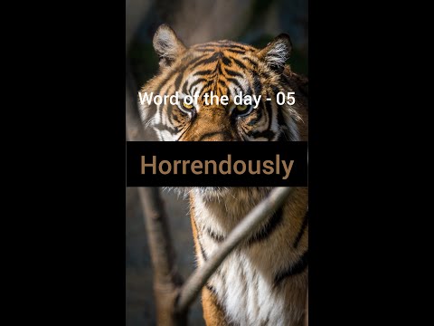 Daily Vocabulary 05 - Horrendously