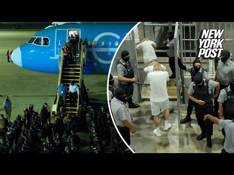 Deported members of the Venezuelan prison gang Tren de Aragua arrive in El Salvador