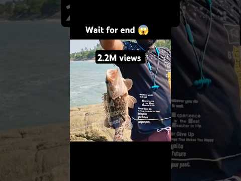 //Grouper fish fishing video//😱🎣#shorts#fishing#fishingvideo @fishingcutzz4126 @Alen_fishing_wala