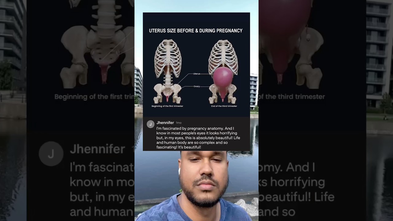 Let’s talk about the uterus’s size changes during pregnancy.