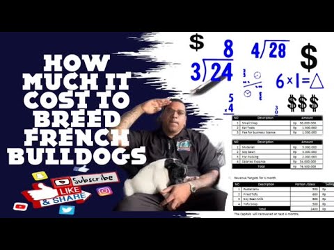 How Much It Cost To Breed French Bulldogs?