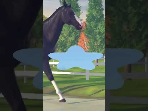 This New Foal is Beautiful- Rival Stars Horse Racing