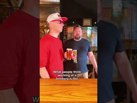 What Working at a Brewery is Like